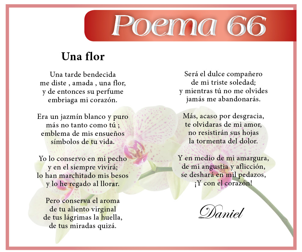 Poema 66 - Latin Opinion Baltimore